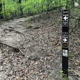 Cross Timbers Hiking Trail, Texas - 1,349 Reviews, Map | AllTrails