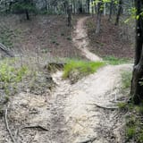 Cross Timbers Hiking Trail, Texas - 1,349 Reviews, Map | AllTrails