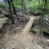 Cross Timbers Hiking Trail, Texas - 1,353 Reviews, Map | AllTrails