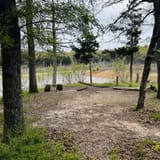 Cross Timbers Hiking Trail, Texas - 1,349 Reviews, Map | AllTrails