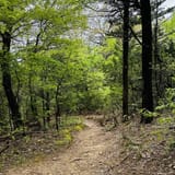 Cross Timbers Hiking Trail, Texas - 1,349 Reviews, Map | AllTrails