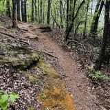 Cross Timbers Hiking Trail, Texas - 1,355 Reviews, Map | AllTrails