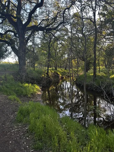 Best Hikes and Trails in Johnson Springview Park | AllTrails