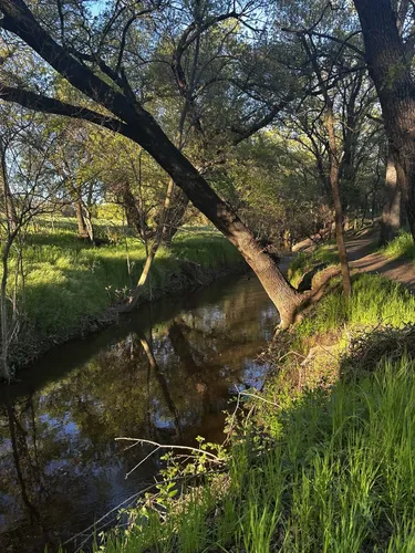 Best Hikes and Trails in Johnson Springview Park | AllTrails