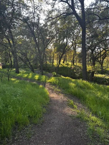 Best Hikes and Trails in Johnson Springview Park | AllTrails