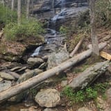 Hidden Falls Trail, South Carolina - 721 Reviews, Map | AllTrails