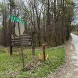 Currahee Mountain, Georgia - 566 Reviews, Map | AllTrails