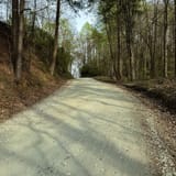 Currahee Mountain, Georgia - 591 Reviews, Map | AllTrails