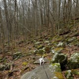 Stepstone Falls via Ben Utter Trail, Rhode Island - 1,566 Reviews, Map ...