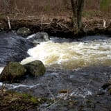 Stepstone Falls via Ben Utter Trail, Rhode Island - 1,566 Reviews, Map ...