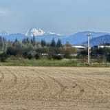 Padilla Bay Trail, Washington - 669 Reviews, Map | AllTrails