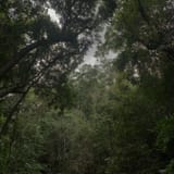 Mud Springs via Mount Makiling Trail, Laguna, Philippines - 4 Reviews ...