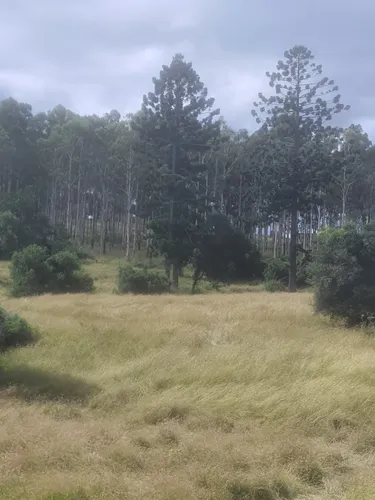 Best Hikes and Trails in Boonah | AllTrails