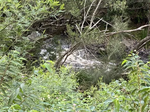 Best Hikes and Trails in Jimna State Forest | AllTrails