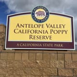 North Loop, Antelope Butte and Lightning Bolt Loop, California - 492 ...