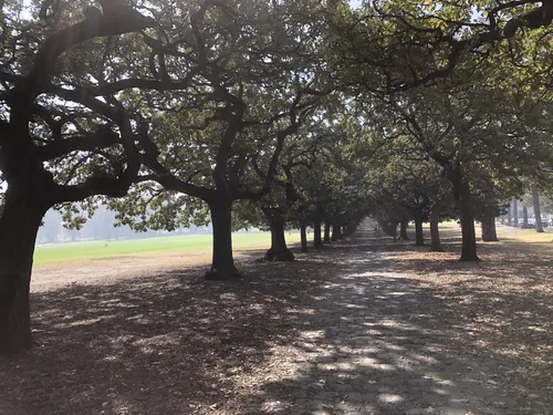 Best Hikes and Trails in Fawkner Park | AllTrails