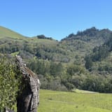 Canyon and Pony Gate Loop, California - 568 Reviews, Map | AllTrails
