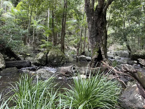 Best Trail Running Trails in Mapleton National Park | AllTrails
