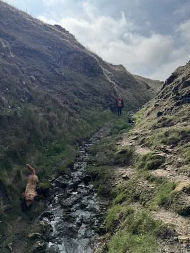 Best Hikes and Trails in Blackhall Rocks | AllTrails