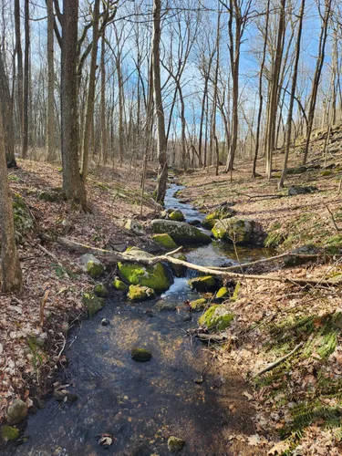 Best Hikes and Trails in Tarrywile Park | AllTrails