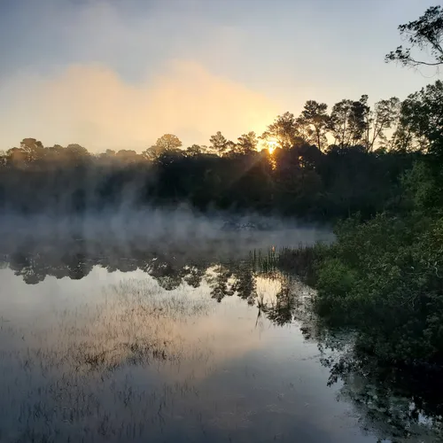 Best Hikes and Trails in Graham Swamp Conservation Area | AllTrails