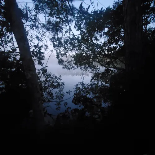 Best Hikes and Trails in Graham Swamp Conservation Area | AllTrails