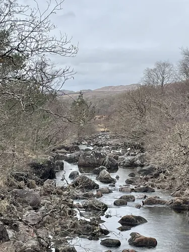 Best Hikes and Trails in Ariundle Oakwood National Nature Reserve ...