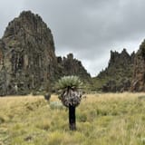 Mount Satima via Dragon's Teeth, Nyandarua, Kenya - 28 Reviews, Map ...
