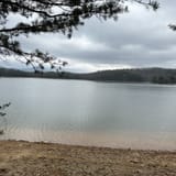 Lake Blue Ridge Loop , Georgia - 846 Reviews, Map | AllTrails