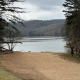 Lake Blue Ridge Loop , Georgia - 846 Reviews, Map | AllTrails