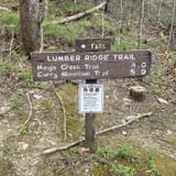 Spruce Flats Falls Trail, Tennessee - 2,743 Reviews, Map | AllTrails