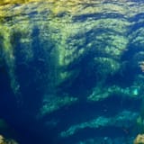 Jacob’s Well Trail, Texas - 406 Reviews, Map | AllTrails