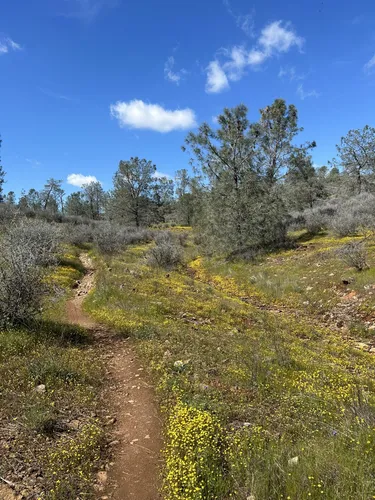 Best Bird Watching Trails in Red Hills Recreation Management Area ...