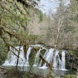 Beaver Falls, Washington - 283 Reviews, Map | AllTrails