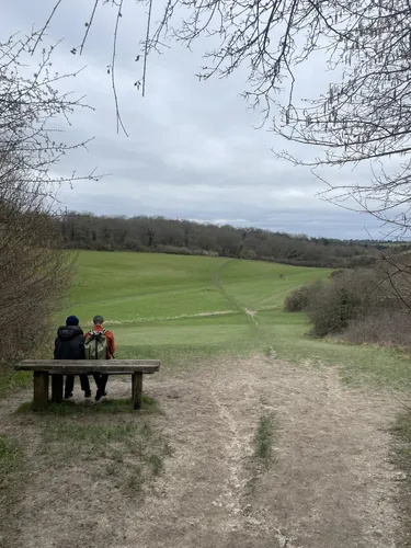 Best Hikes and Trails in Farthing Downs | AllTrails