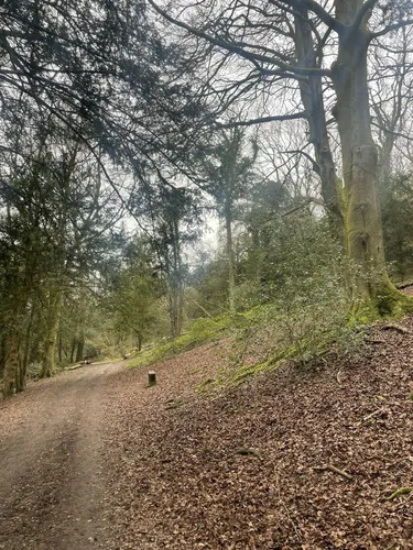 Best Hikes and Trails in Farthing Downs | AllTrails