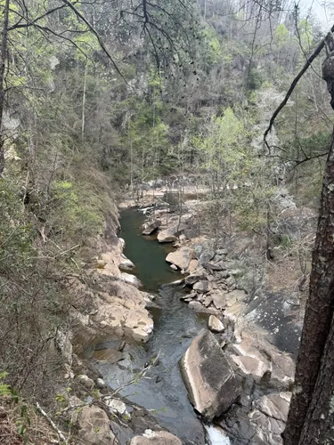 Best Hikes and Trails in Tallulah Gorge State Park | AllTrails