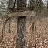 Blair Ridge, Missouri - 377 Reviews, Map | AllTrails
