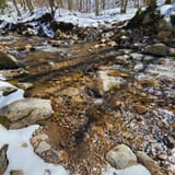 Homer Stone Trail, Vermont - 136 Reviews, Map | AllTrails