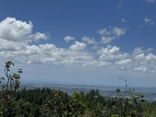 Maricao State Forest: de beste routes om te wandelen | AllTrails