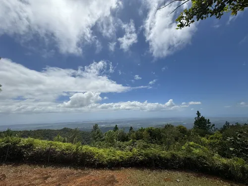 Maricao State Forest: de beste routes om te wandelen | AllTrails