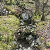 Capel Curig Circular, Conwy, Wales - 386 Reviews, Map | AllTrails