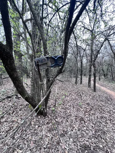 Best Forest Trails in Lake Stanley Draper Mountain Bike Park | AllTrails