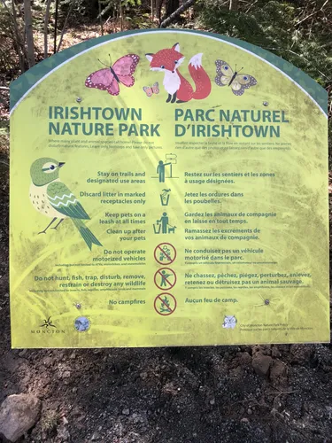 Best Forest Trails in Irishtown Nature Park | AllTrails