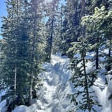 Chief Mountain Trail, Colorado - 8,417 Reviews, Map | AllTrails