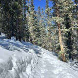 Chief Mountain Trail, Colorado - 8,417 Reviews, Map | AllTrails
