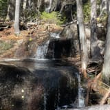 Tunk Mountain Ridge Trail, Maine - 413 Reviews, Map | AllTrails