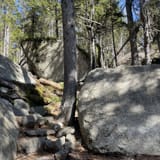 Tunk Mountain Ridge Trail, Maine - 413 Reviews, Map | AllTrails