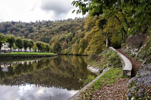 Best Wild Flowers Trails in Semois Valley National Park | AllTrails