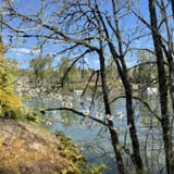 Molalla River State Park Trail, Oregon - 382 Reviews, Map | AllTrails